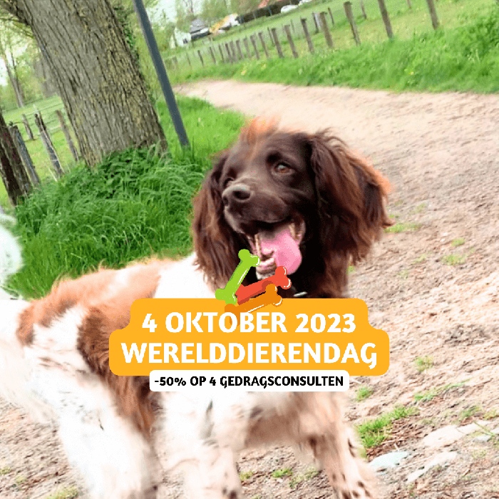 ACTIE Werelddierendag • maak kans op één van de vier gedragsconsulten aan de HELFT VAN DE PRIJS!
